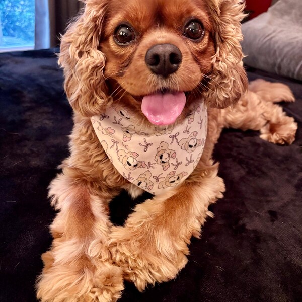 Ribbon and Bow, Curved Neck Snap on Dog Bandana, Spring Reversible Pet ...