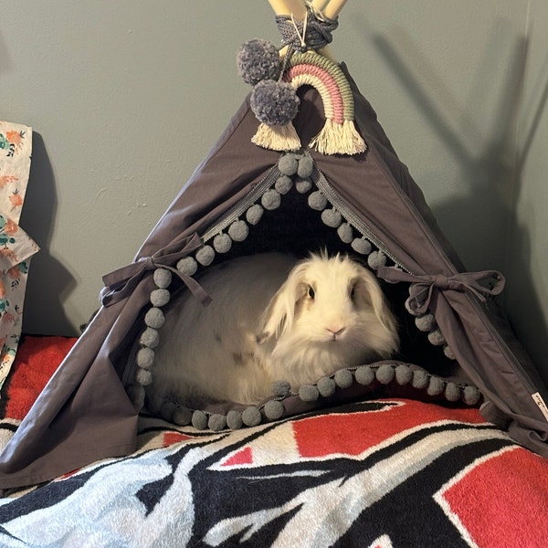 Rabbit Bed, Bunny Bed, Rabbit House, Bunny Teepee, Pet Teepee, Guinea ...
