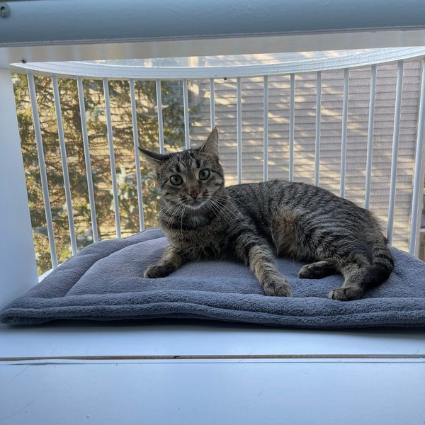 Cat Solarium Sunroom Package: the Ultimate Cat Window Box. This Catio ...