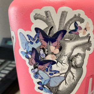 Human Anatomy Pelvis Art Pink Roses Stickersvinyl | Etsy