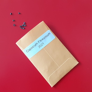 Cold Hardy Chili Pepper Seeds Capsicum Flexuosum Aka - Etsy Canada