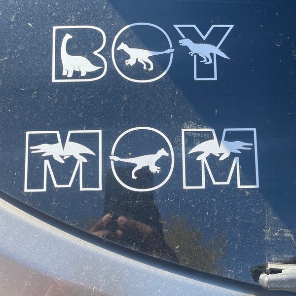 Beam Team Sacramento Kings Decal for Windows, Tumbler, Laptop Sticker ...