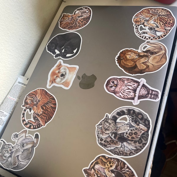 Sleepy Big Cat Sticker Pack - 5 Vinyl Animal Stickers - Etsy