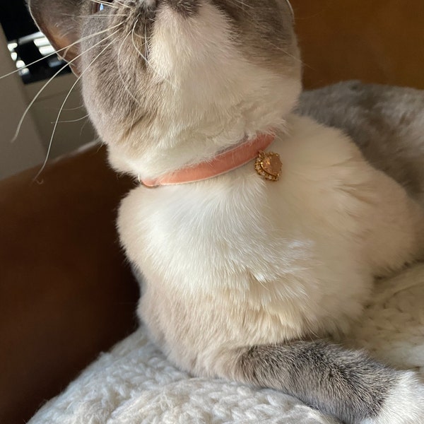 Princess Cat Collar,rhinestone Cat Collar,blush Pink Velvet Small Dog ...