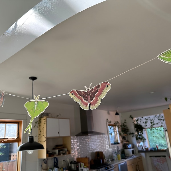 Colorful Moth Illustrated Garland - Etsy