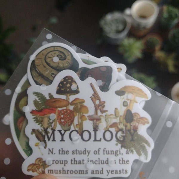 Sets of 5 Colourful Fungi Toadstool Mushroom Matte Stickers for Cups ...