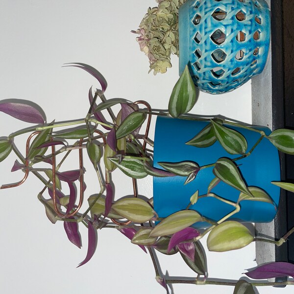 Plant Propagation Side Car Plant Buddy Test Tube Prop Station - Etsy