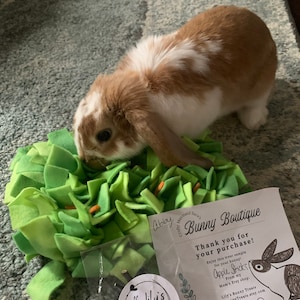 Bunny Rabbit Snuffle Mat, Foraging Blanket, Stimulation Treat Toy ...
