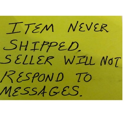 Snakehead Fish Skeleton,real Fish Head Skull,fish Skeleton,museum ...