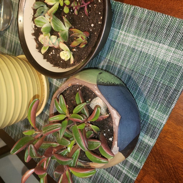 Peperomia Ruby Glow | 4 Inch | Live Succulent Plant | Indoor Plant | - Etsy