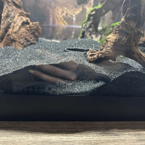 Tidal Cave Nature Inspired Terrarium Aquarium for Shrimps, Fish, and ...