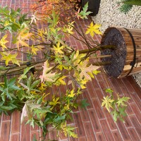 Personalised Gothic Bird Table - Etsy UK