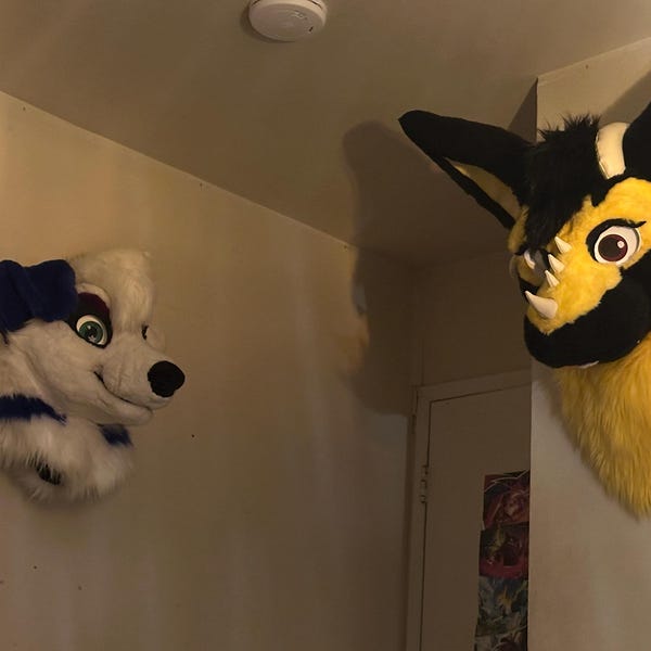 Fursuit Head Wall Mount: Cosplay Headgear Display (10lb Max Load) - Etsy