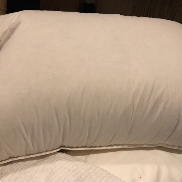 750 Fill Power 90% Hungarian Goose Down Sandwich Pillow - Etsy