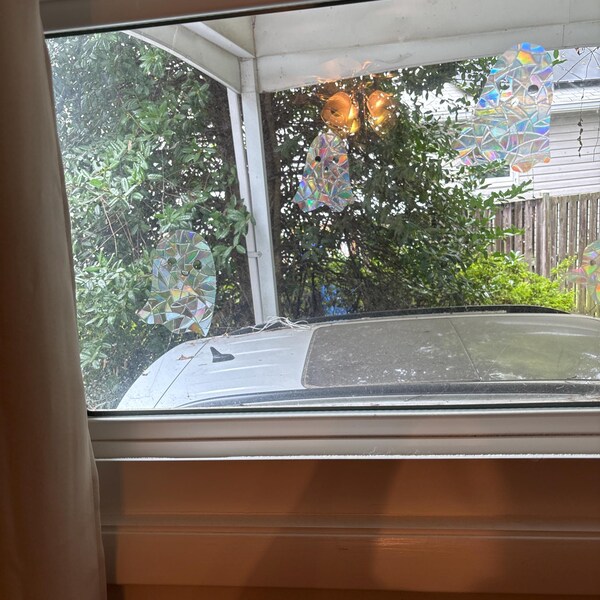 Pocket Hug, Little Stuffed Bear, First Day of Preschool, Back to School ...