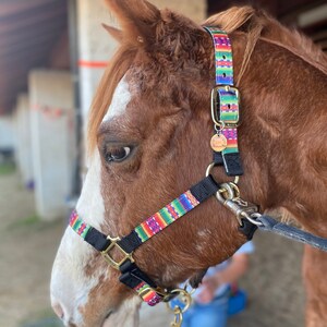 Hand Stamped Horse Halter Tag Handmade Identification Available With ...