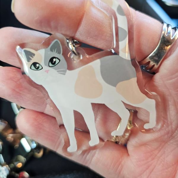 Longhaired Brown Tabby Cat Keychain Cute Charm Clear Acrylic and Resin ...