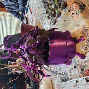 Middle Finger Happy Planter in ALL Colors Kawaii Planter, Planter With ...