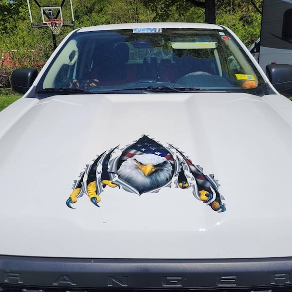 American Flag Eagle Rip Decal Camper RV Motor Home Mural Graphic - Etsy