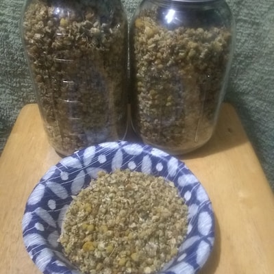 Feverfew Herb Powder Organic 1lb Tanacetum Parthenium - Etsy