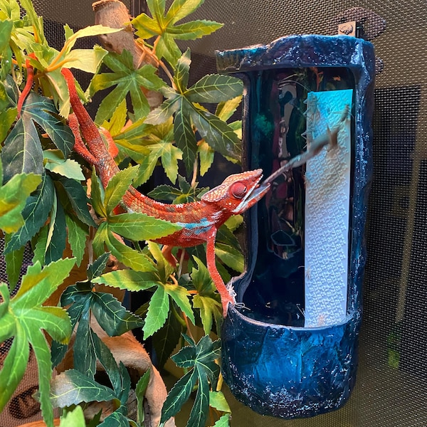 Naymars' Lizard-alley Cricket Feeder. Durable Made in the USA Chameleon ...