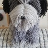 Tukker the AA Dog Crochet Pattern - Etsy UK
