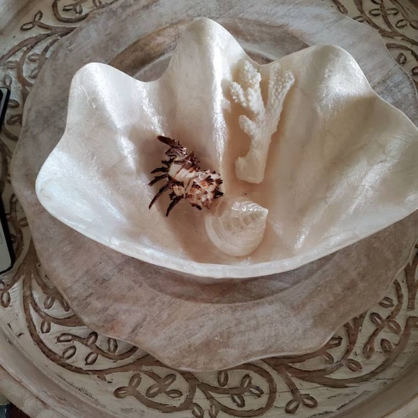 Capiz Shell Bowl-bowl Made Out of Shell-beach Wedding Decor-sea Shells ...