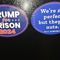 Save Democracy Sticker Vinyl Decal, Vote Blue, Pro Democracy, Vote ...