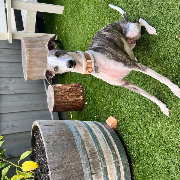 FLUFF || Fluffy Lining / Colour Change - Etsy