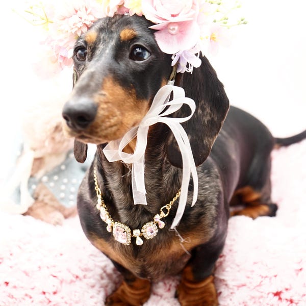 Crystal Cubic Pet Necklace: Pink, Yellow, Blue Costume Collar - Etsy