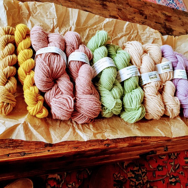 Natural Undyed Organic Wool From Our Flock of Lleyn Sheep to Use for ...