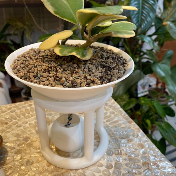 The FUNNEL Planter With Stand and Water Catch for Indoor House Plants ...