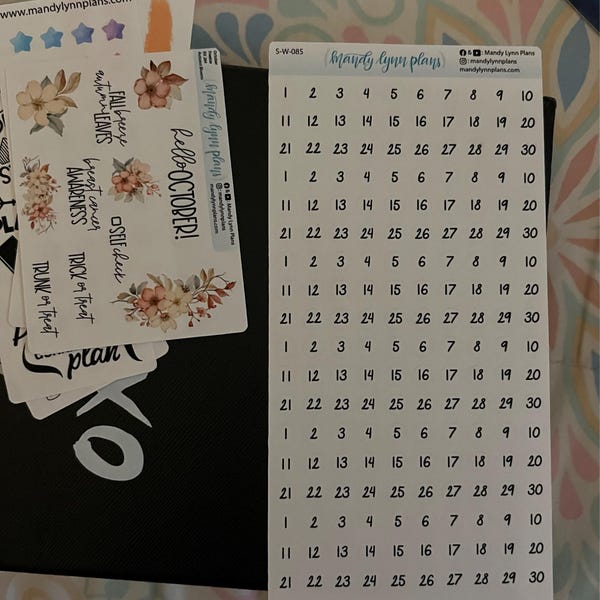 Appointment Script Stickers Removable White Matte or Clear Matte Stickers Hobonichi Cousin ...