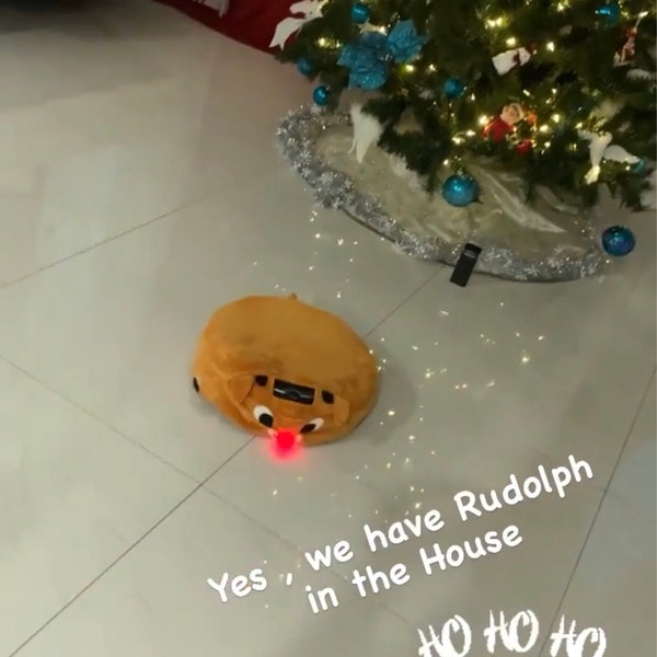 Rudolph, Robo Rascals, Roomba Cover, Roomba, Robot Vacuum, Christmas ...
