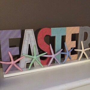 Astraea Calcar Shells Spurred Turban Shells 1/2 1 | Etsy