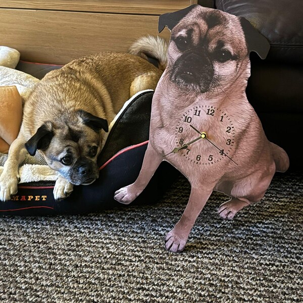 Pet Memorial, Customized Pet Wall Clock, Personalized Photo Pet Memorial Gift for Dog Owner Wall ...