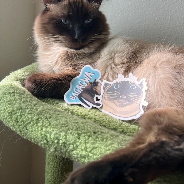 Merv the Cat Vinyl Sticker 2-pack / Mervthecat / Cat Sticker / Funny ...