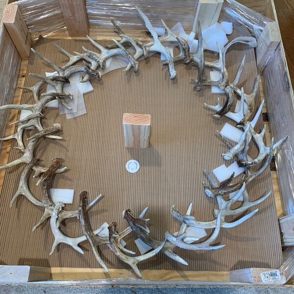 Antler Bench, Hand Crafted Using the Finest Naturally Shed Antlers - Etsy