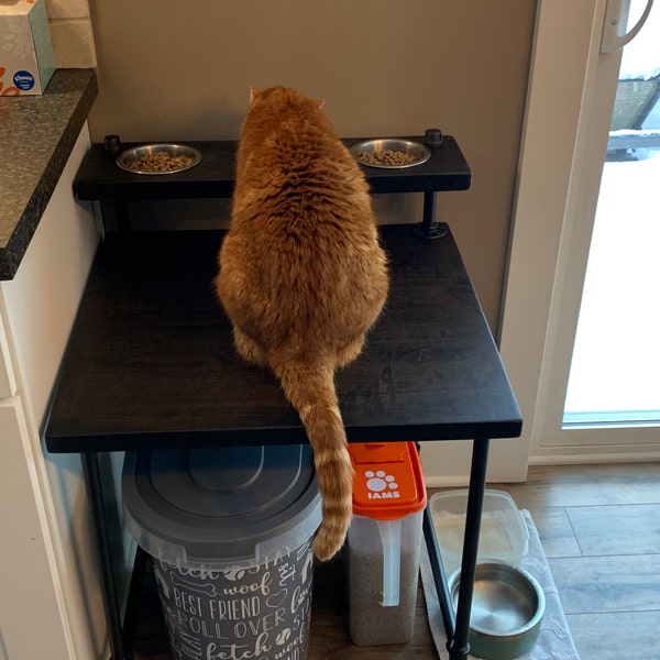Elevated Cat Food Station - Etsy