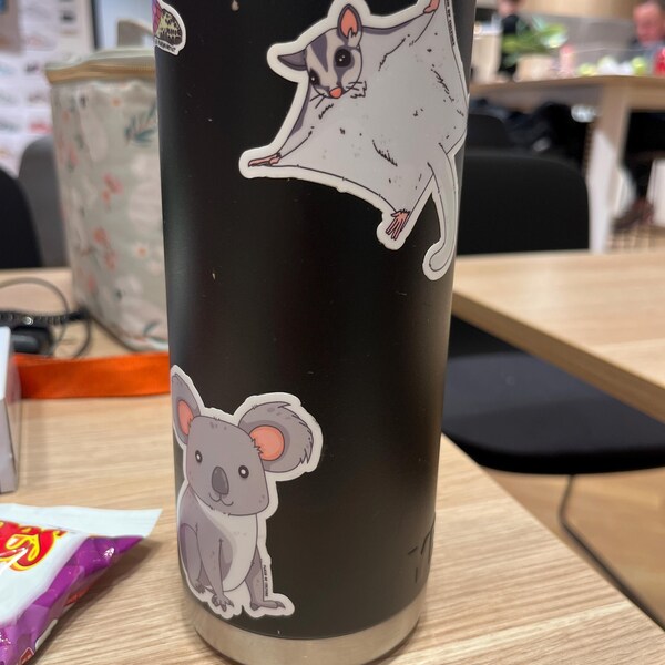 Kiwi Bird Sticker, Kiwiana Sticker, Native Birds From New Zealand, NZ ...