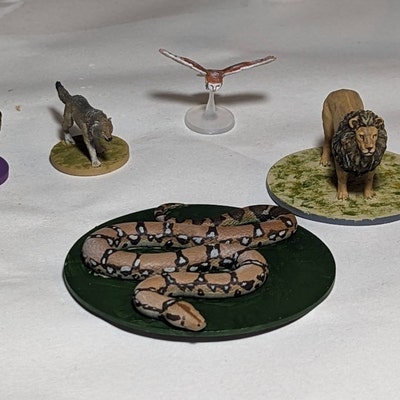 Snakes Constrictor Snake Poisonous Snake Giant Snakes Swamp ...