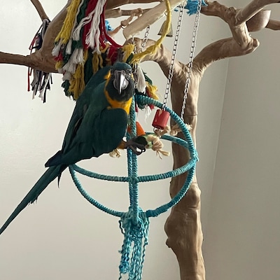 Extra Large Parrot 3 Ring Orbit Swing - Etsy