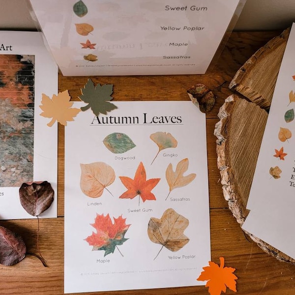 Autumn Leaves Mini Set - Etsy