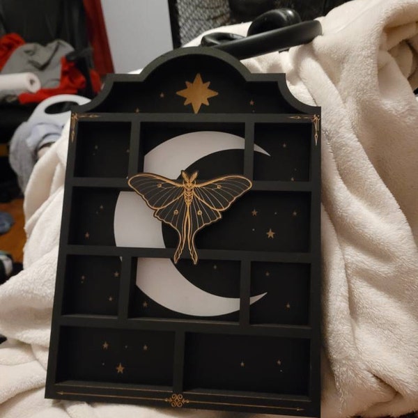Luna Moth Shelf | Apothecary Cabinet | Crystal Shelf | Oddities Display ...