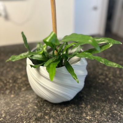 Medium Twisted Flower Pot for Plants of All Kinds white 6 Diameter by 4 ...