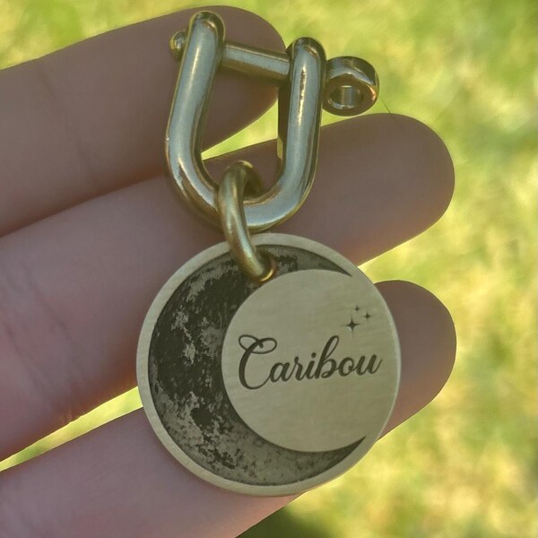Cat Tag, Custom Cat Tag, Kitten Tag, Personalized Mini Pet ID Tag ...
