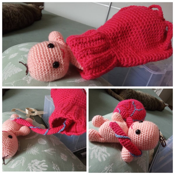 Uterus, Placenta, Baby and Umbilical Cord Crochet Pattern. Teaching Aid ...