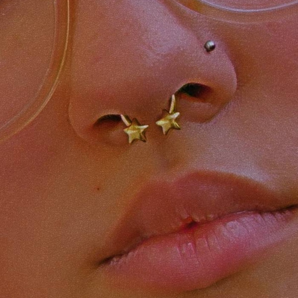 16G Stardust Septum Ring/daith Earring/septum Piercing/cartilage Hoop ...