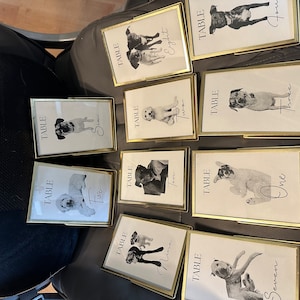 Custom Pet Table Numbers - Etsy