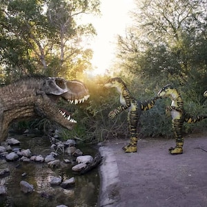 Flying Books Overlay Photoshop Overlays for Photoshop. Digital | Etsy